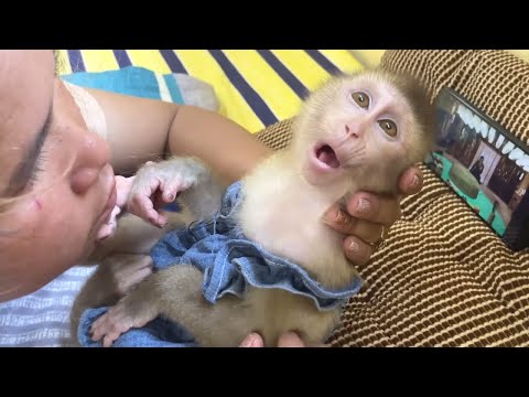 Adorable Baby Jess Cuddles On Comfortable, Baby Time Begins With Mom