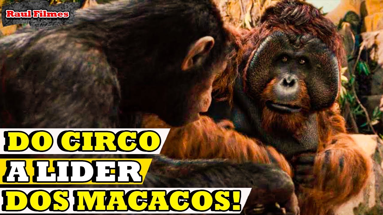 MAURICE HISTORIA COMPLETA! PLANETA DOS MACACOS! - YouTube