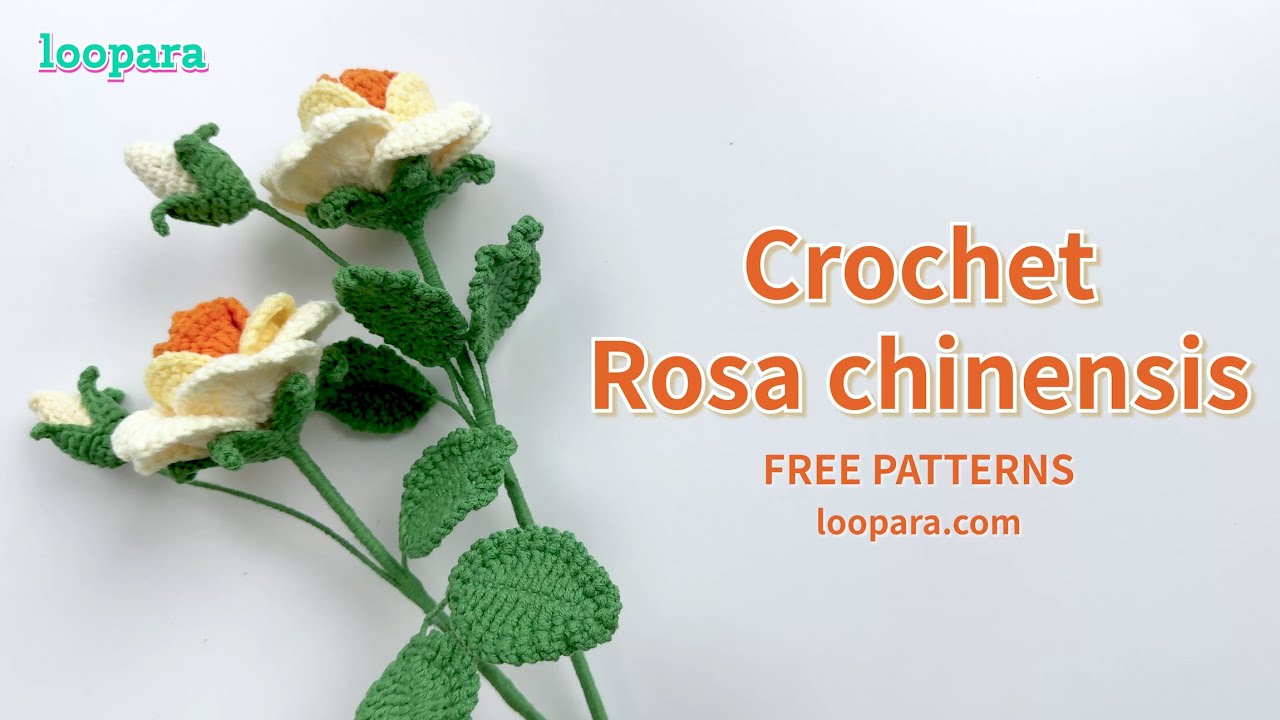 Crochet Rosa Chinensis Flower - Free Pattern - YouTube