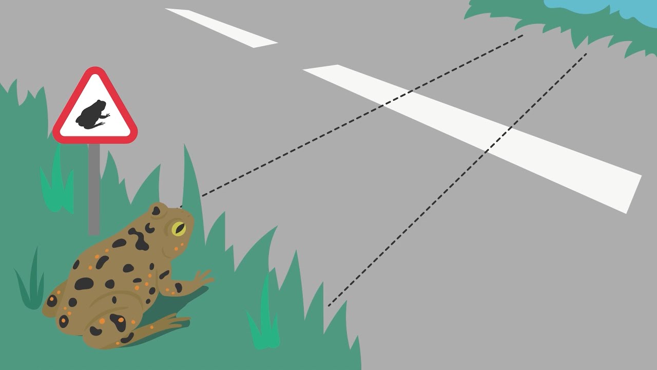 Register a Toad Crossing - YouTube