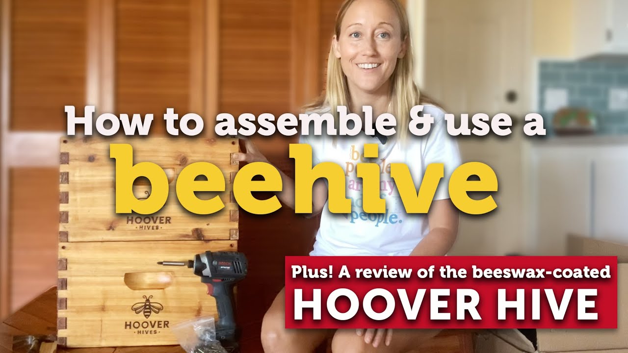 LANGSTROTH BEEHIVE ASSEMBLY | REVIEW Beeswax Coated Hive from Galena ...