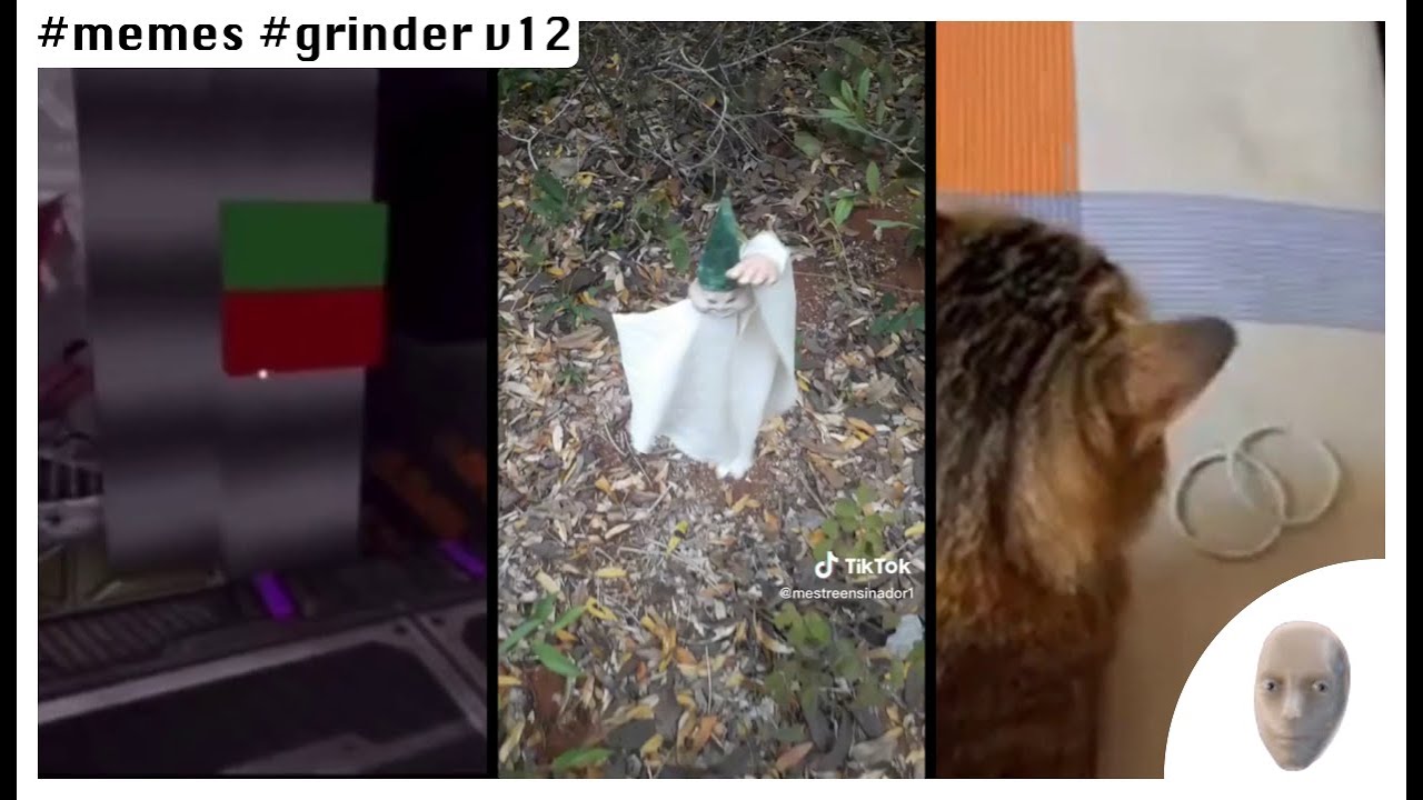 freshly grounded memes v12 #memes #grinder - YouTube