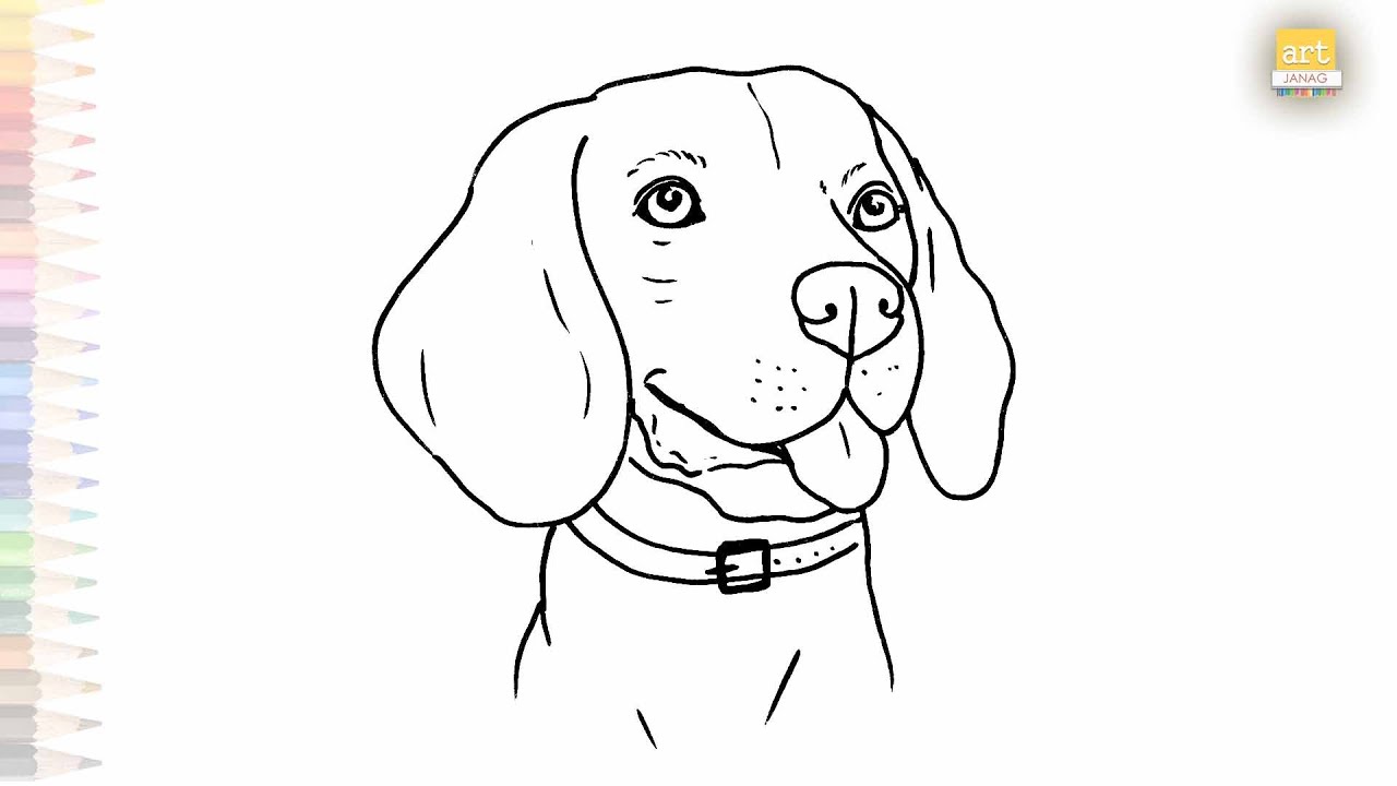 Beagle head drawing easy | Dog art sketches | How to draw A Beagle step ...