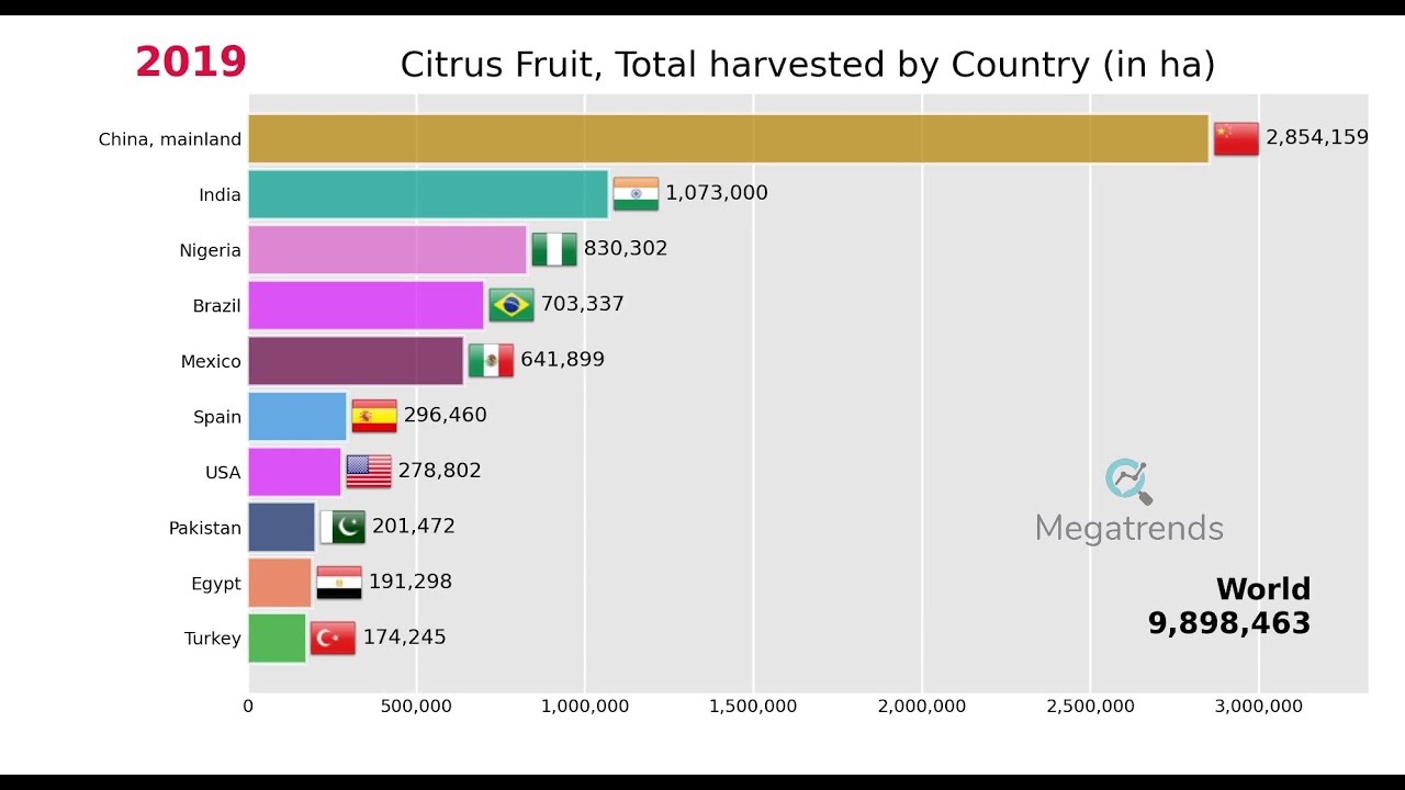 Top 10 Countries by Area Harvested of Citrus Fruit, Total (1961 - 2019 ...