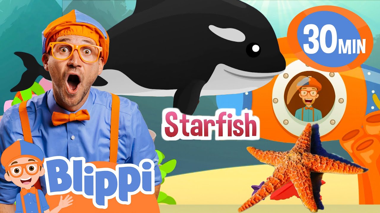 Blippi Visits An Aquarium: Colorful Fish In The Sea| Dance Party Songs ...
