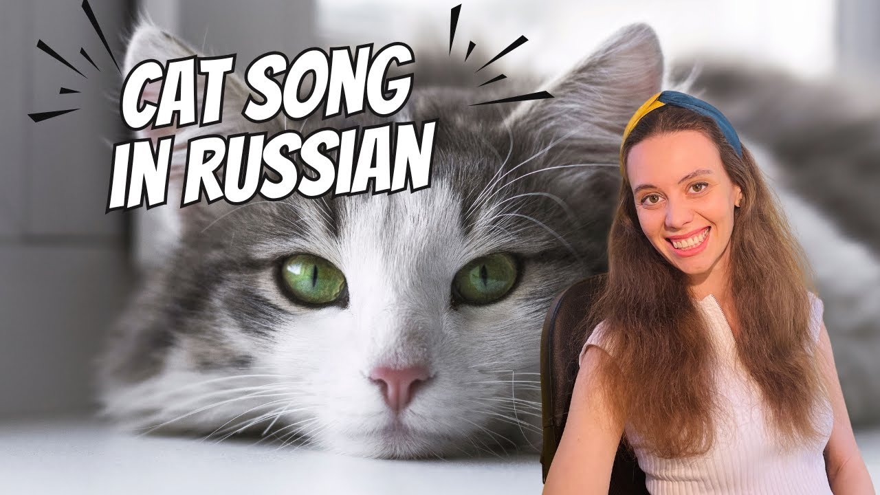 Authentic funny cat song to practice Russian - YouTube