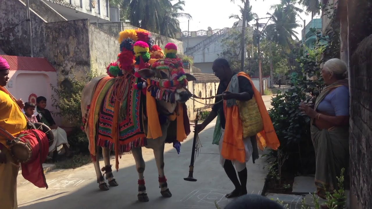 Gangireddu Performance at village street - YouTube