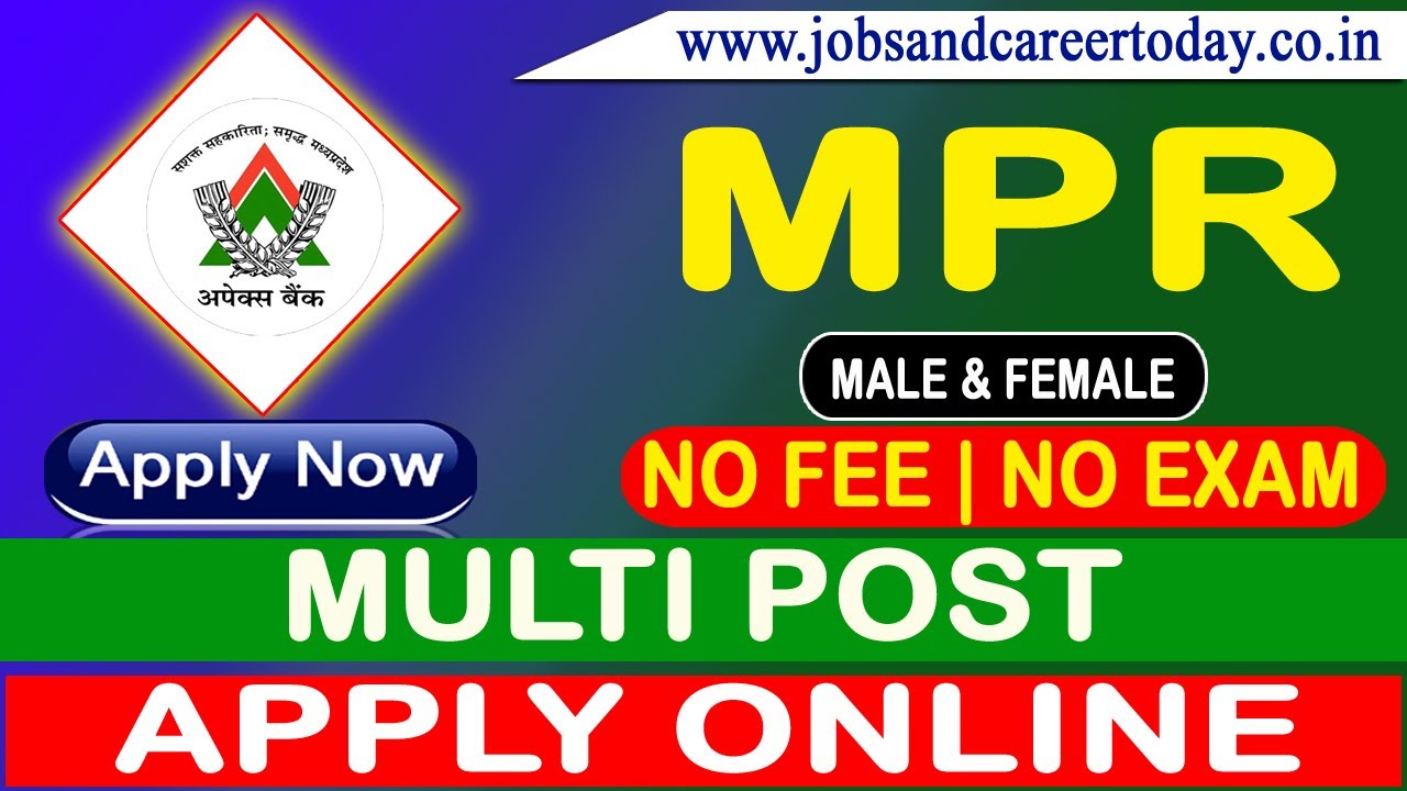 MPR GOVT BANK JOB 2024 | MRP JOB 2024 APPLY DETAILS | BANK JOB 2024 ...