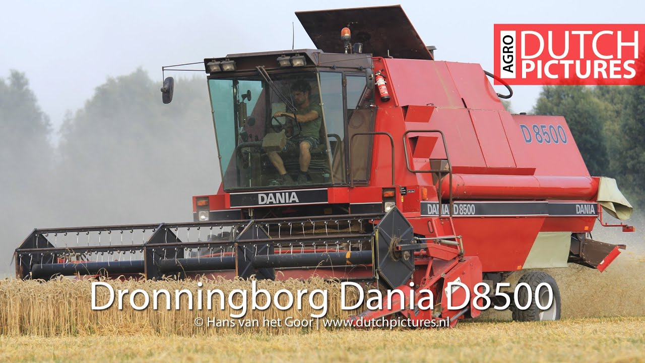 Dronningborg - Dania D8500 | Harvesting wheat | Tarwe dorsen ...