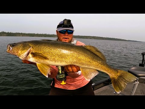 TIPS to catch more walleye on mid lake structure (Trophy walleye) # ...