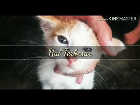 Armada - Hal Terbesar 🎶