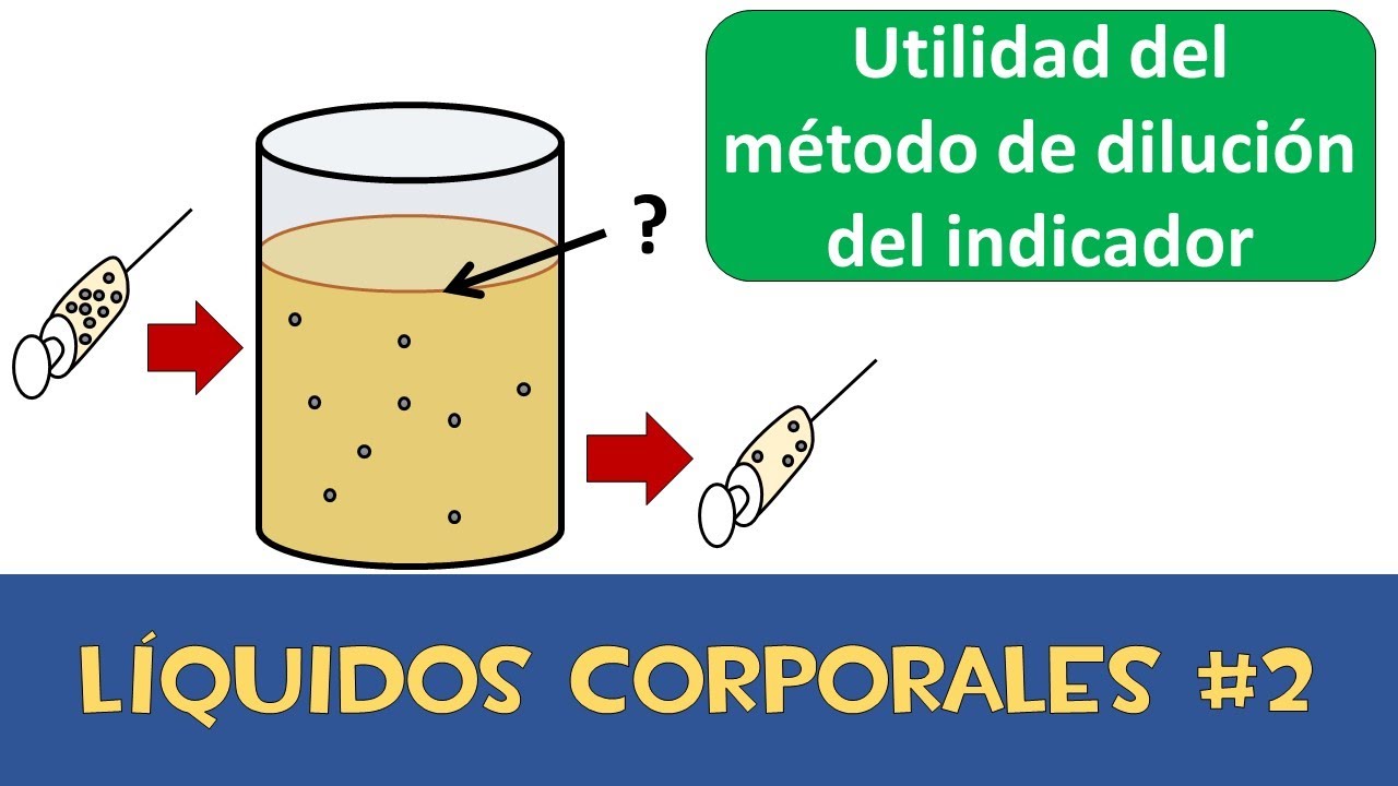Líquidos Corporales #2 💧 Medición de los compartimientos - YouTube