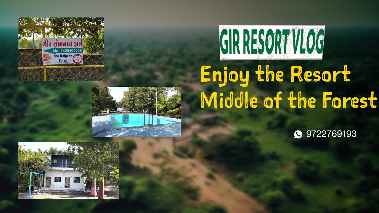 HIDDEN RESORT IN SASAN GIR | CHEAPEST & BEST STAY - YouTube