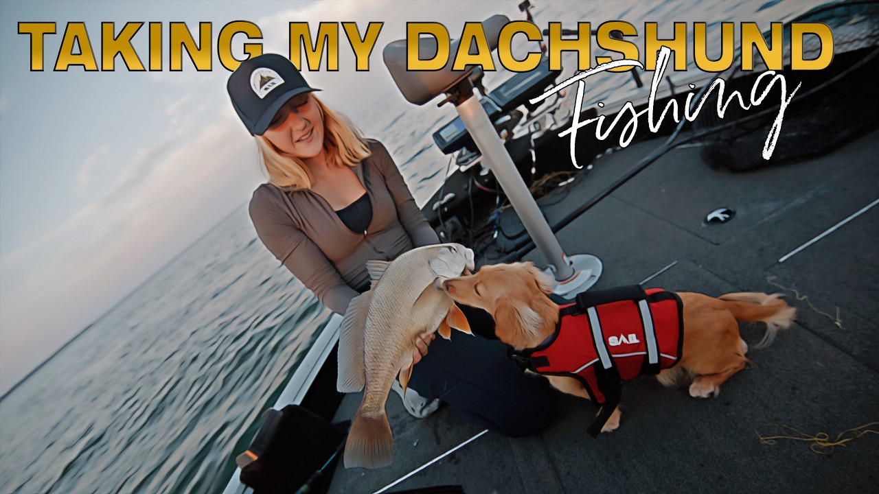 Dachshund Fishing Adventure (My puppies first time in a boat) - YouTube