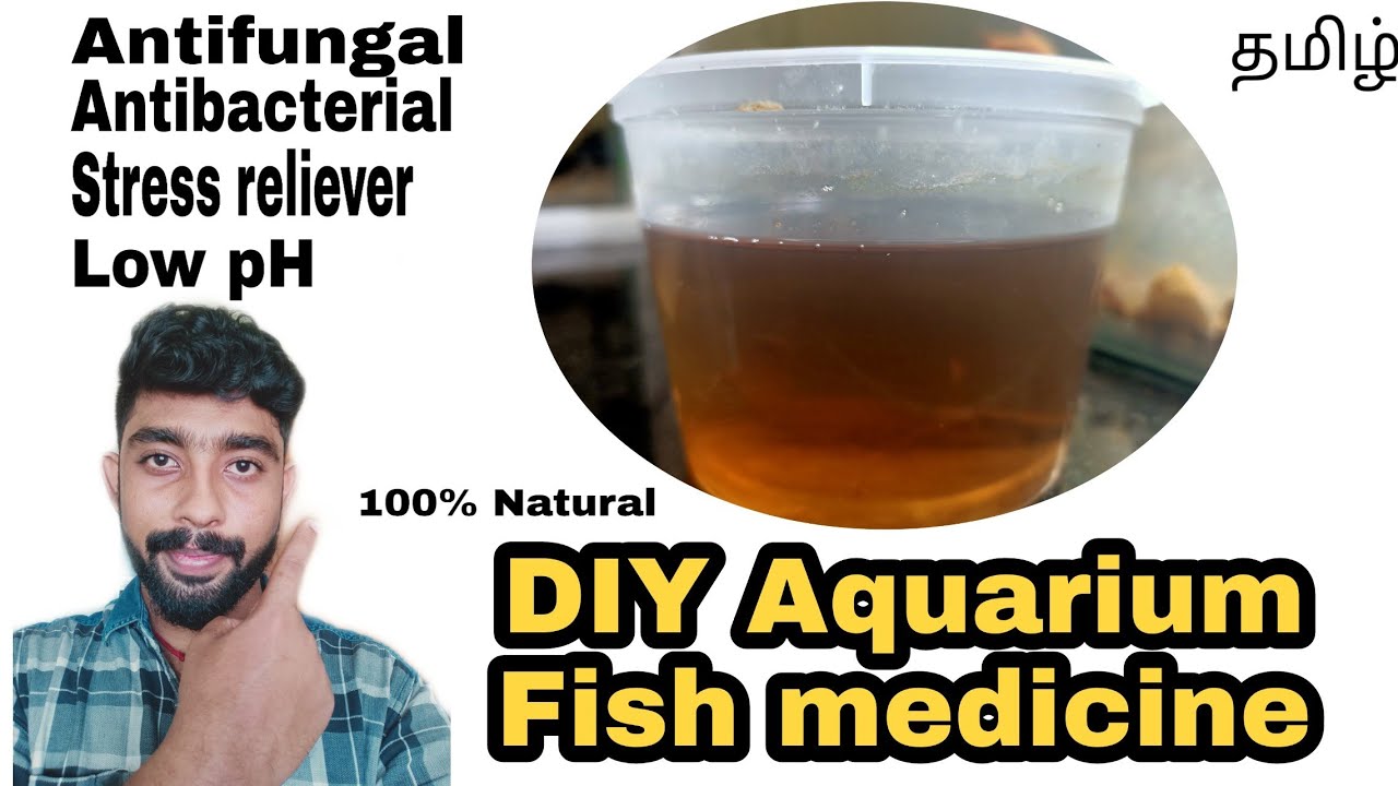 DIY Aquarium Fish medicine | Basics of pH content in aquarium Explained ...