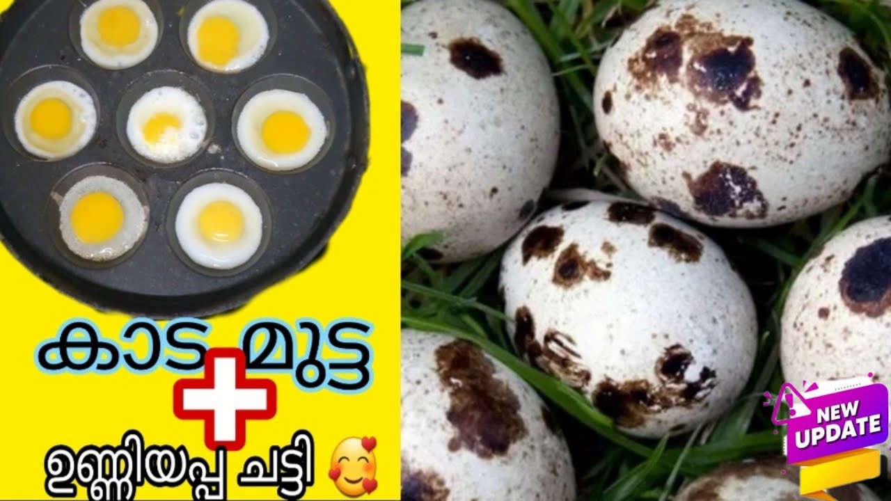 Kada Mutta Bulls Eye/Quail Bulls Eye/കിടിലൻ രുചിയിൽ കാട മുട്ട Bulls Eye ...