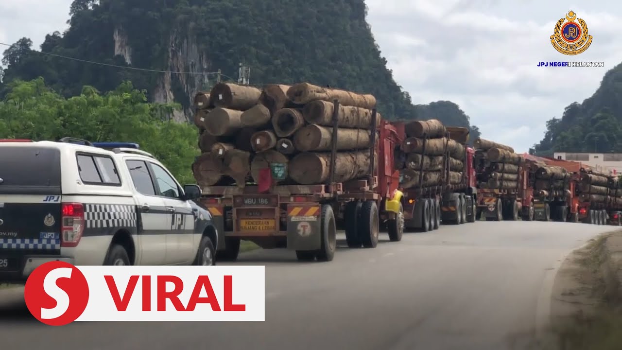 JPJ vehicles escorting timber lorries in Kelantan part of special ...