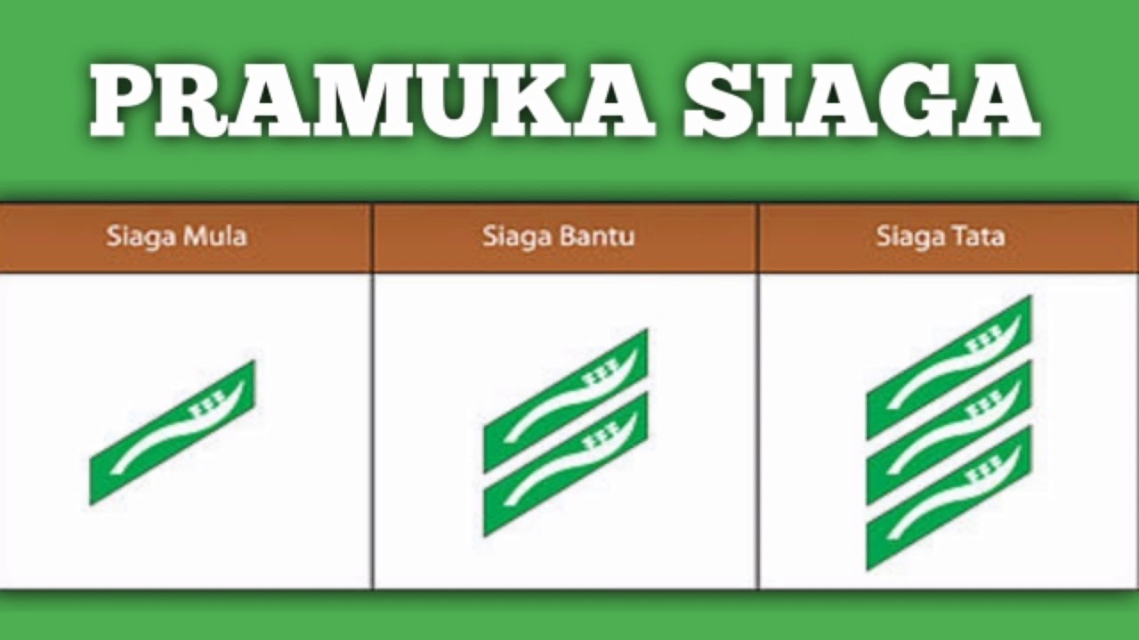 Sejarah dan Pengertian Pramuka Siaga - YouTube