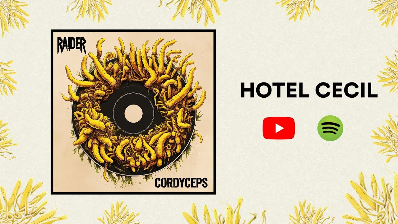 RAIDER - HOTEL CECIL (Official Lyric Video) - YouTube