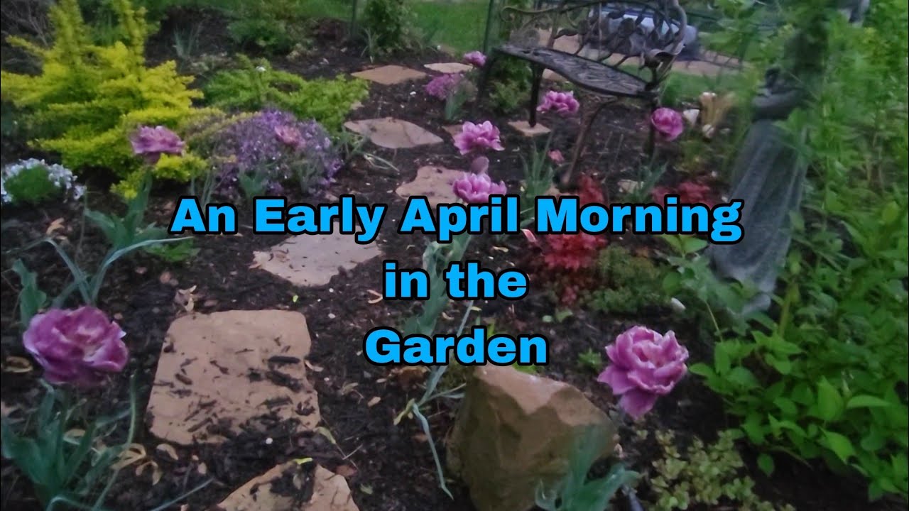 A QUIET April Morning in the Garden - YouTube