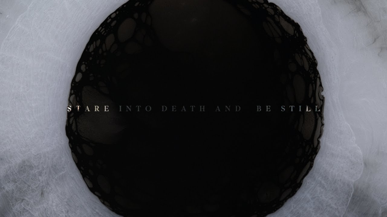 Stare Into Death And Be Still - Macro Videography - Laowa 90mm F2.8 2X ...