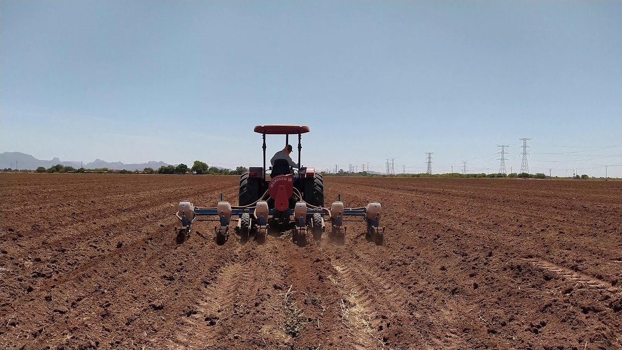 Sembrando soya block 506 Valle del Yaqui(3) - YouTube