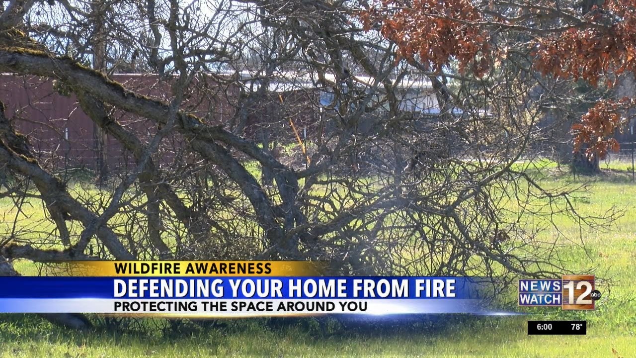 How to create defensible space around your home to protect against ...