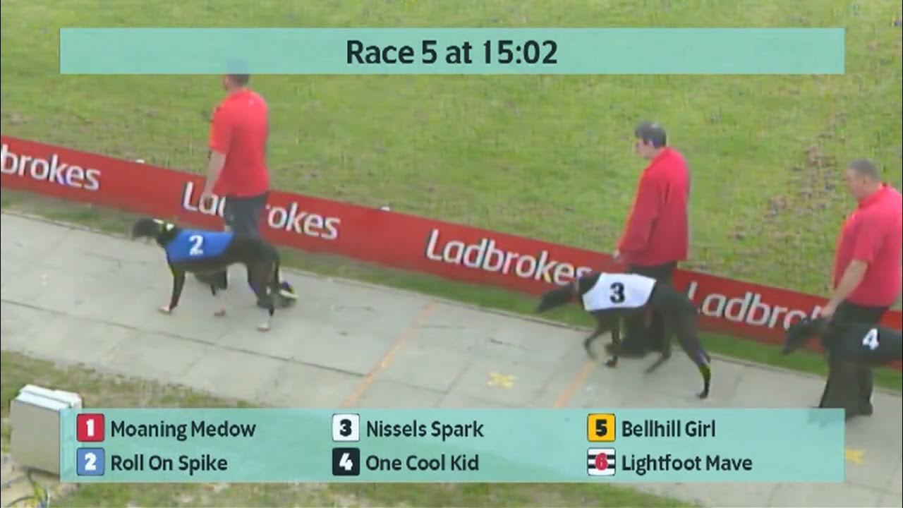 Crayford Greyhounds Races on 25th May 2023 - YouTube Crayford Greyhounds Races on 25th May 2023 - YouTube