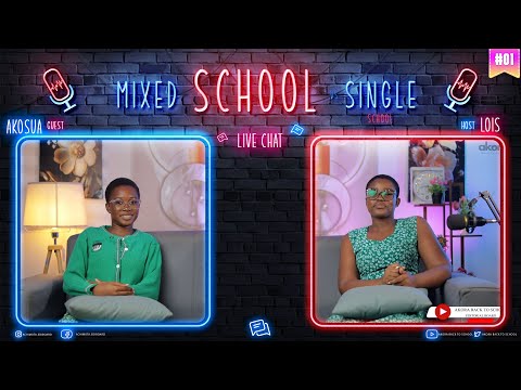 Why Mixed Schools Are Better Than Single-Sex Schools