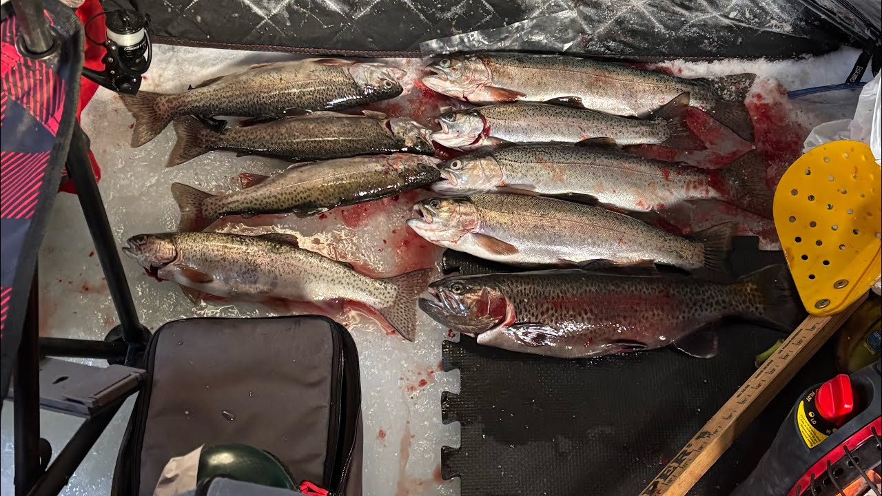 Rainbow Trout Fishing through the Ice 2025; SUBZERO temps; Sight ...