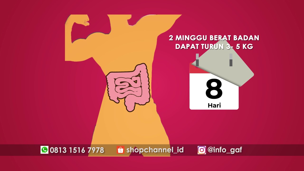 GAF Green Apple Fiber || Minuman Sehat Rasa Apel Tinggi Serat || 100% ...