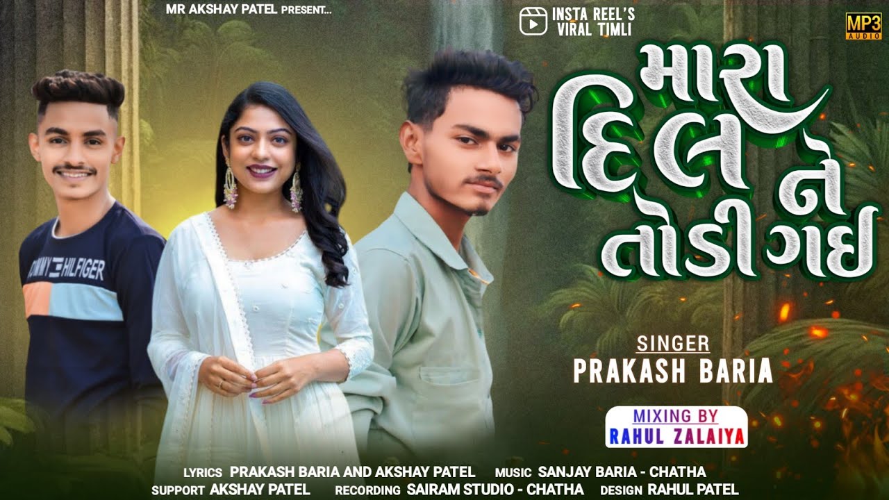 Mara Dil Ne Todi Gai | Prkash Baria New Timli 2025 | New Dj Remix Timli ...