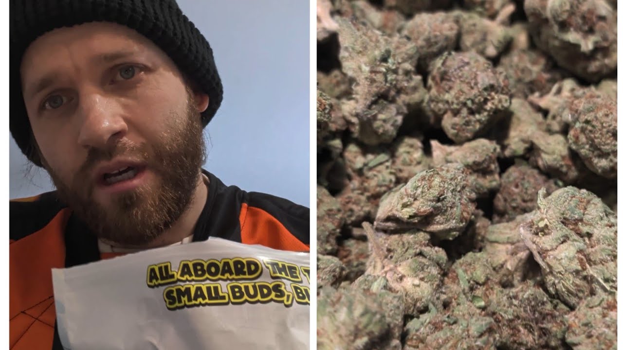 "gashouse Pluto" Thca small buds cheap hemp Flower! Risk paid off - YouTube