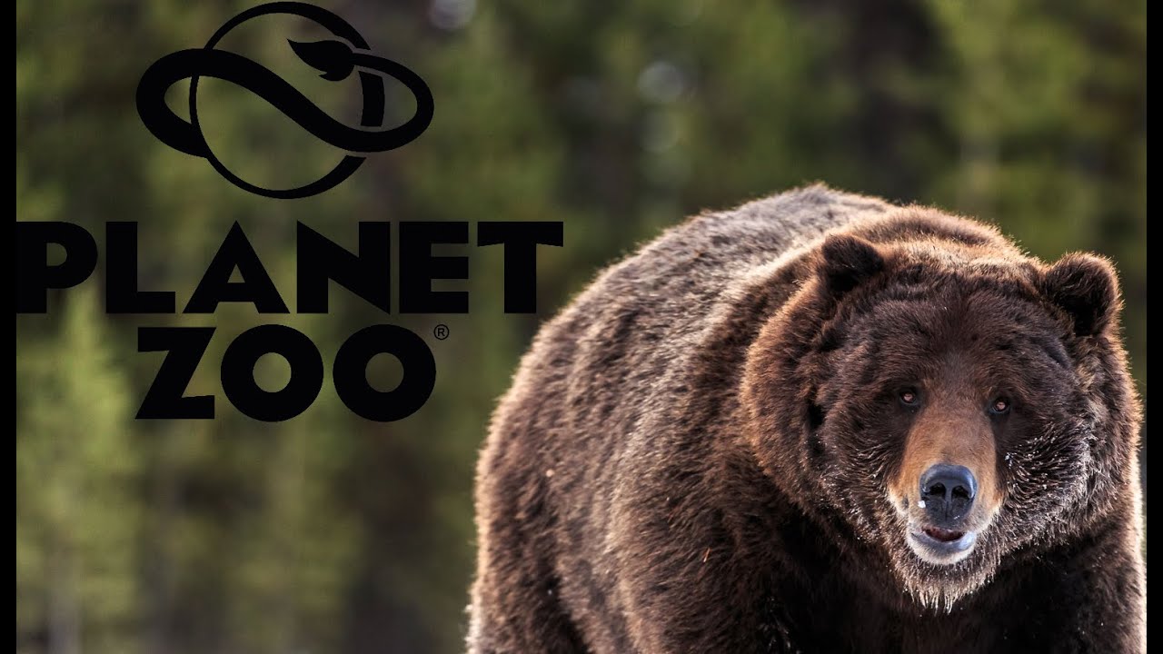 Planet Zoo: Maple Valley Zoo Grizzly Grotto. - YouTube