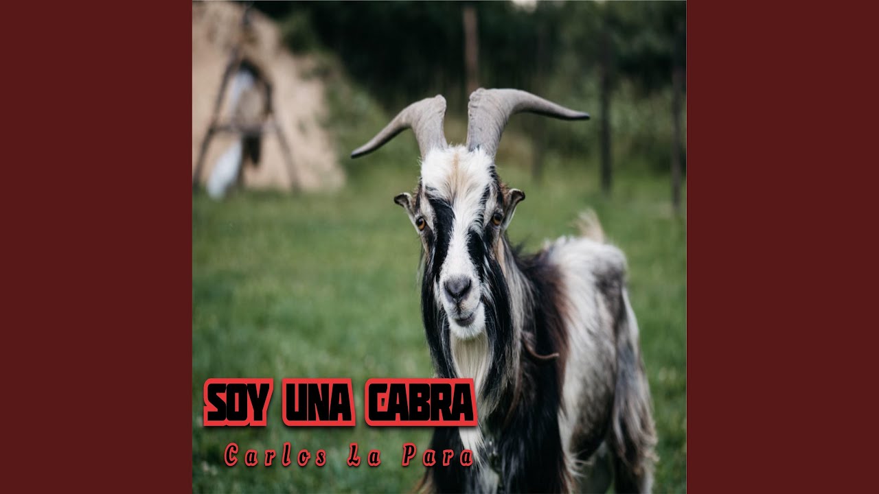 Soy Una Cabra - YouTube