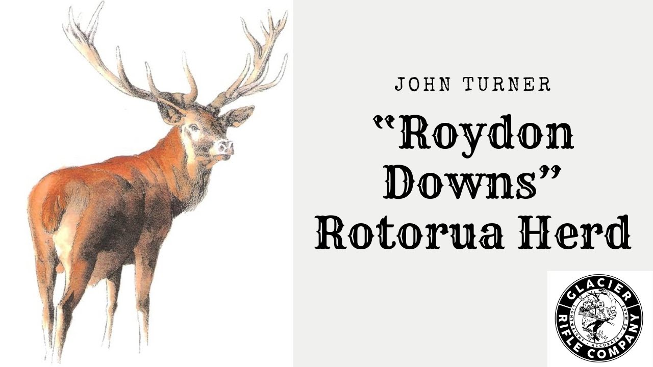 The Rotorua Herd John Turner Roydon Downs, Paengaroa, Bay of Plenty ...