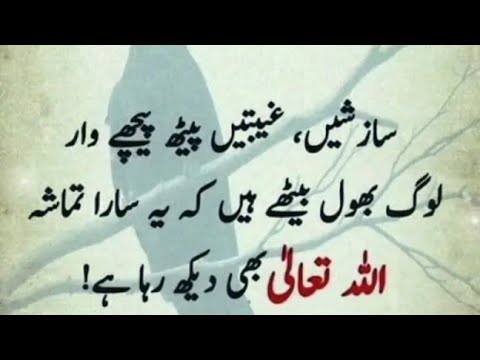 Aqwal zarin ,Islamic line ,urdu poetry#youtube #youtubeshorts #ytshorts ...