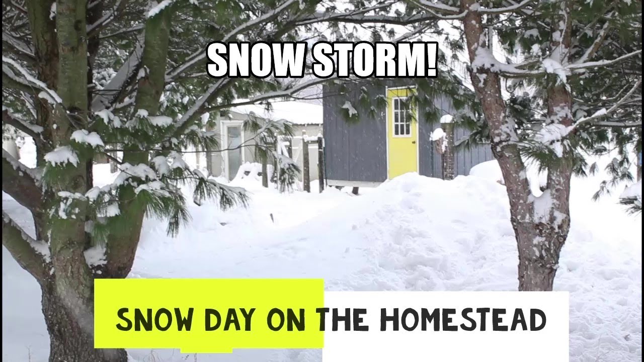First WINTER STORM of the season! Snow day on the HOMESTEAD. Our own ...