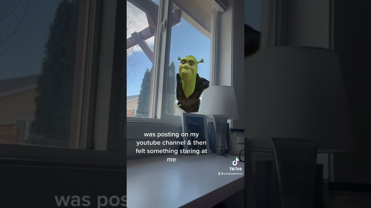 shrek dancing tiktok filter #shorts #tiktok #tiktokfilter #shrek # ...