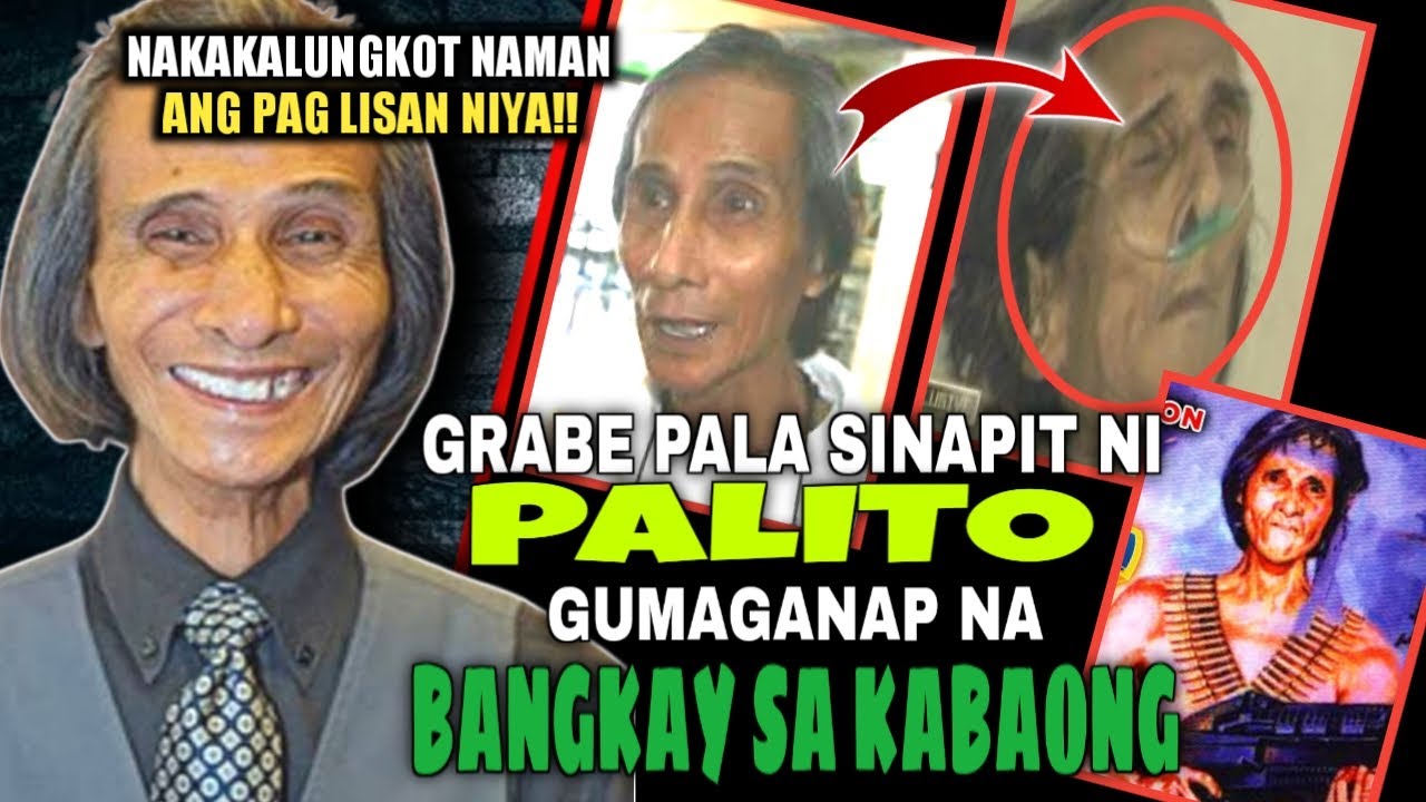 ANG MALUNGKOT NA PAG LISAN NI PALITO | RENATO HIPOLITO BRIEF STORY ...