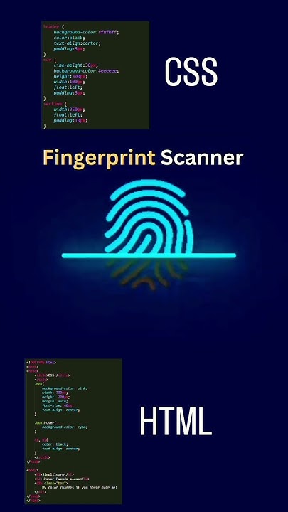 Html Csshtml5coding Software Pythonfold Unfold Animation Loding Effect Animationweb