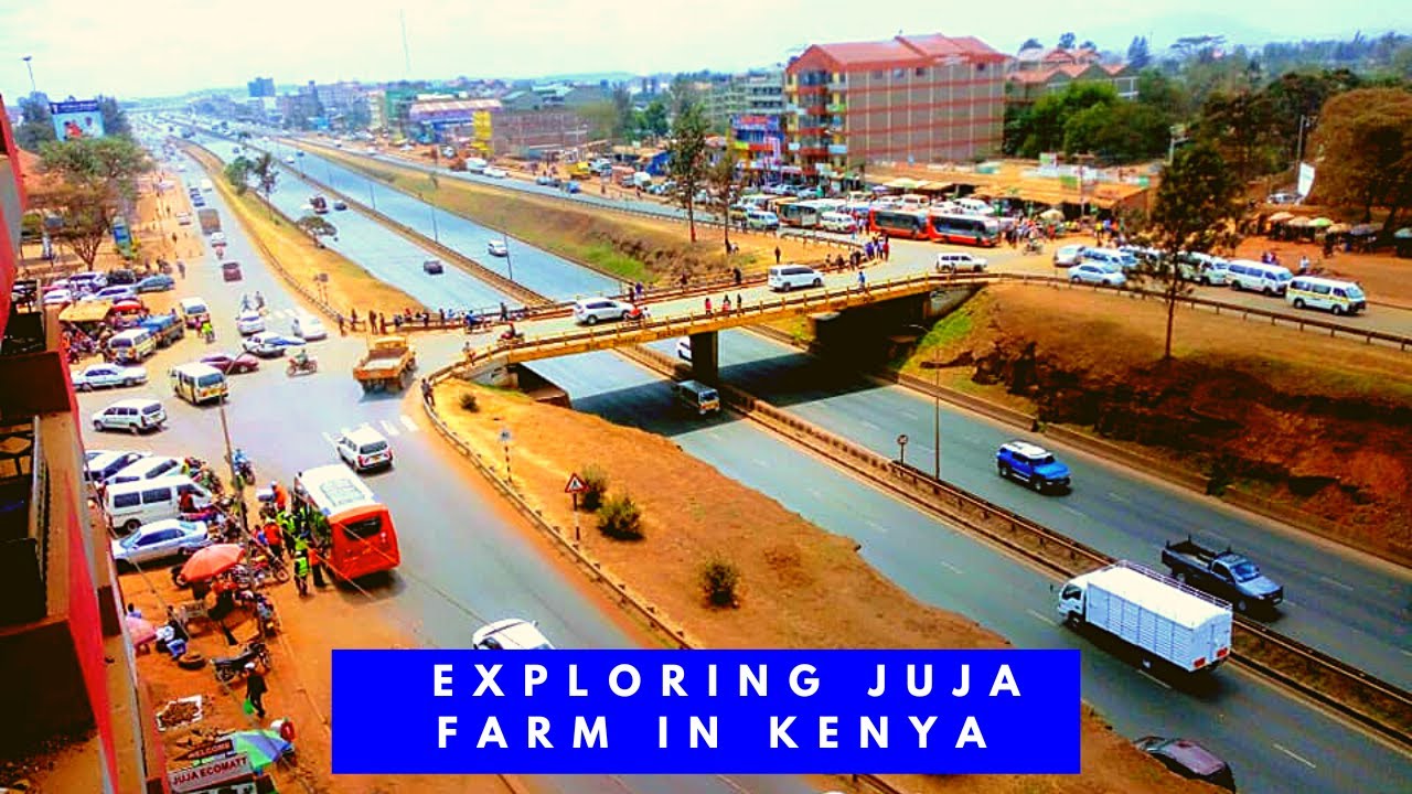 Juja Farm Kenya at Ann Burkett blog