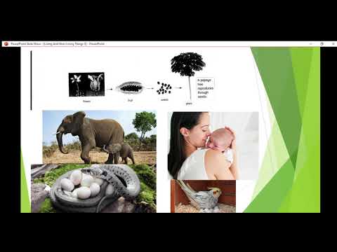 Class 3C Science Lecture 2 of lesson 1 - YouTube