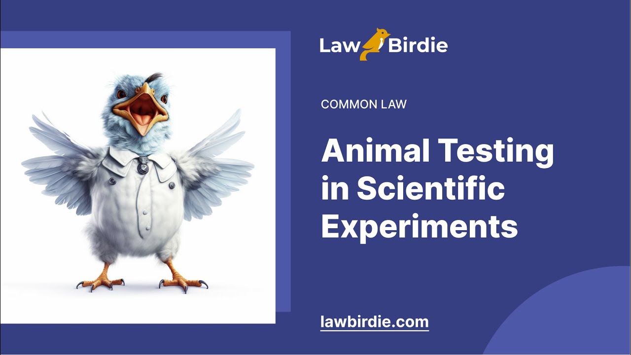 Animal Testing in Scientific Experiments - Essay Example - YouTube