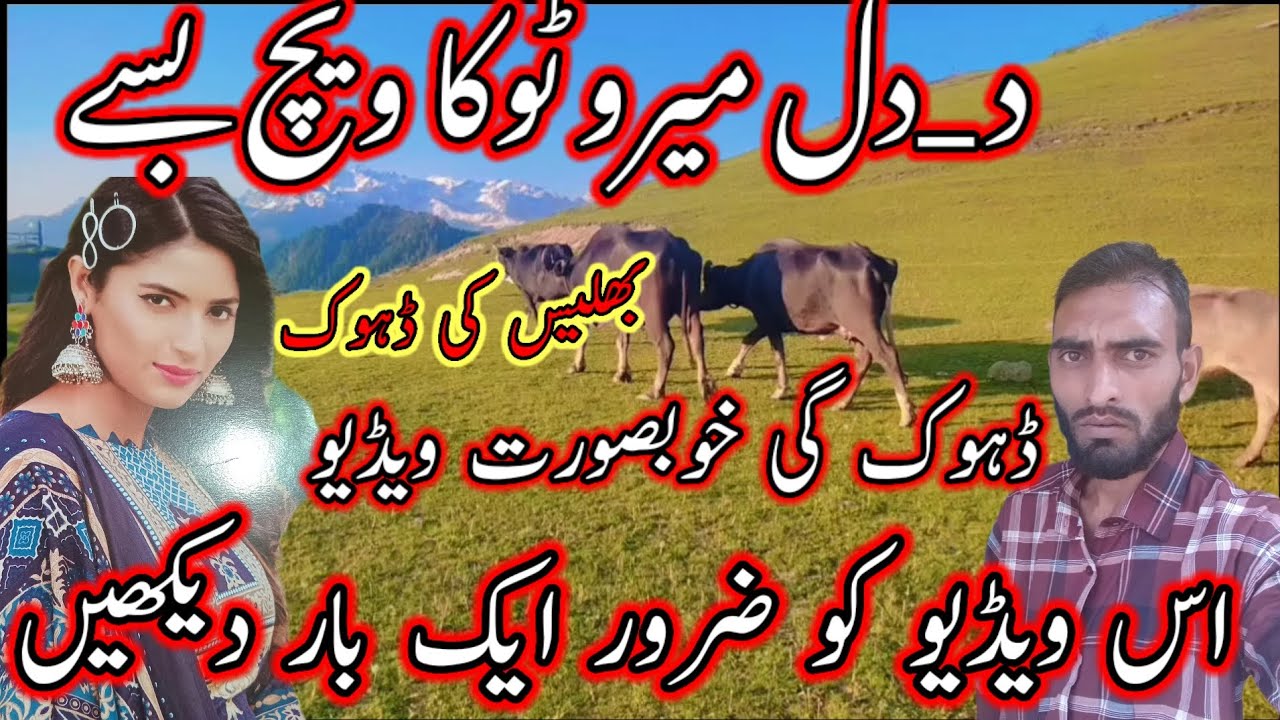 //Dil Mero Toka Witch Basay//Phardi Song//Gojri Song//Dokhi Song//New ...