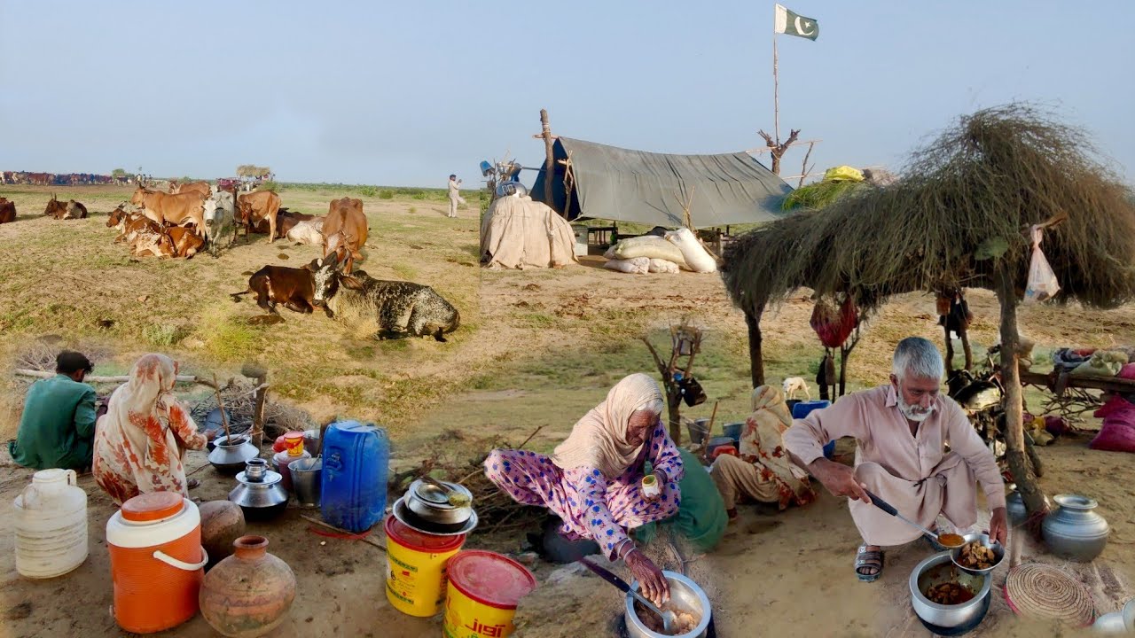 Authentic Pakistani village cooking | women morning routine village ...