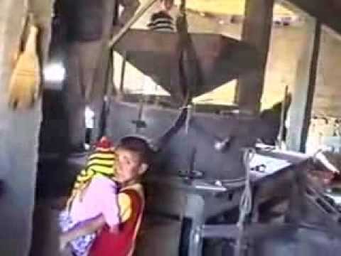 1991 yılı kızilin görüntüleri.