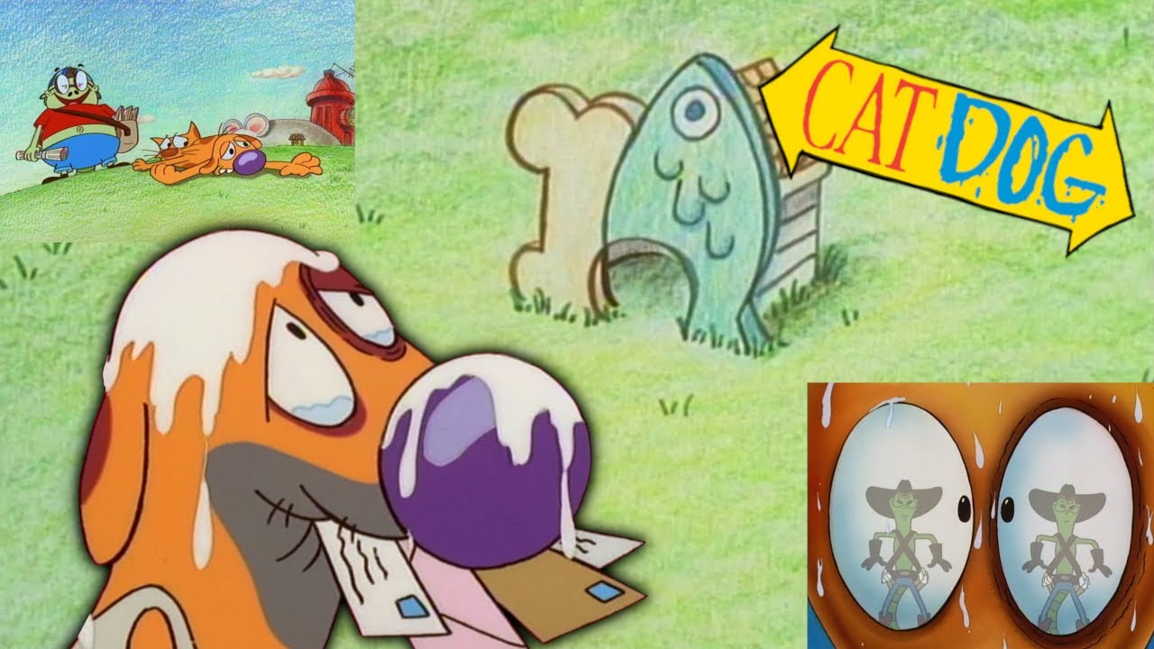 Processing Childhood Trauma With CatDog… - YouTube