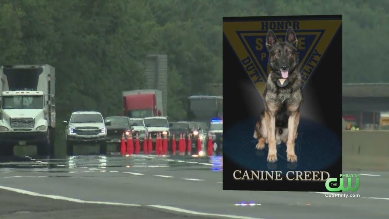NJ State Trooper, K-9 Injured In Pursuit That On New Jersey Turnpike ...