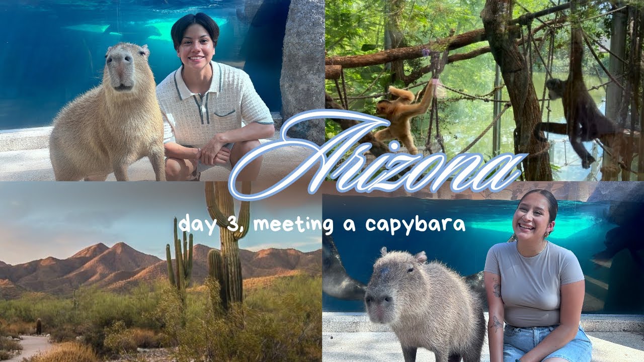I MET A CAPYBARA!! | Arizona Vlog Day 3 + ZOO DAY - YouTube